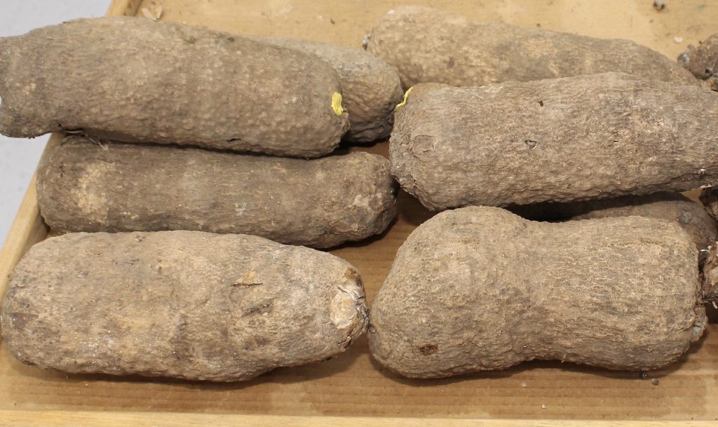 International Supermarket | Grocery Store