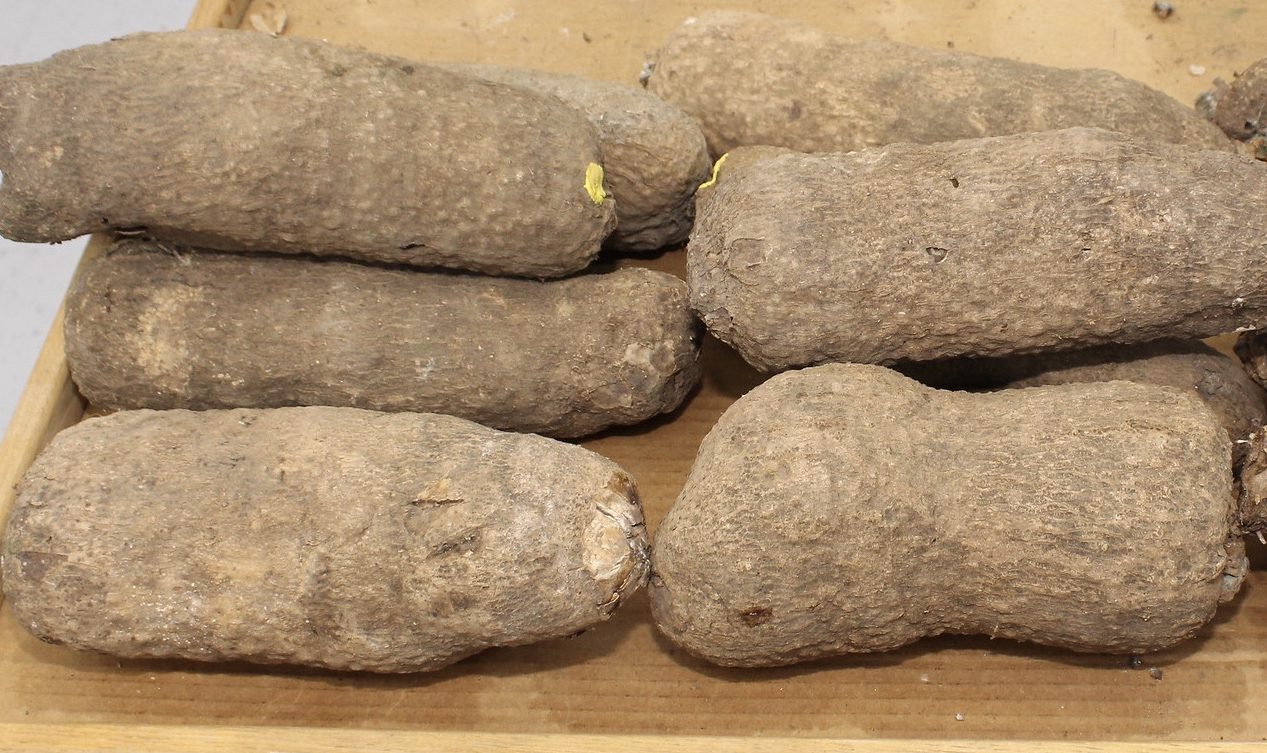 Fresh Yam | International Supermarket in San Antonio, Texas